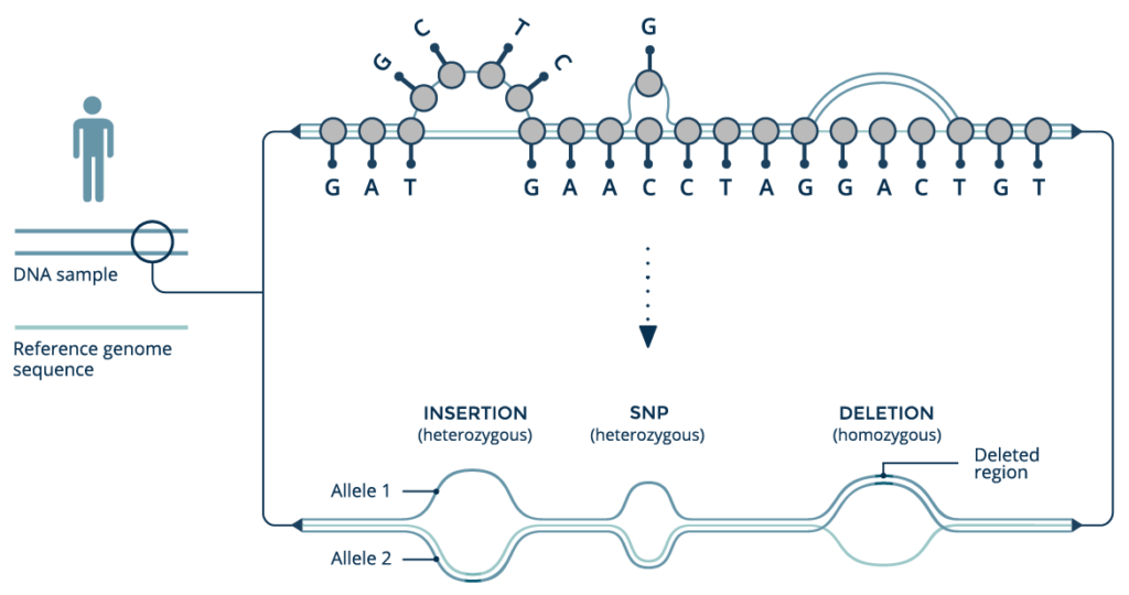 Seven Bridges GRAF | Pan-Genome Analysis for Next-Generation Sequencing ...
