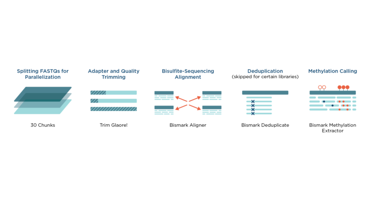 Efficient Bisulfite Sequencing Analysis with Seven Bridges