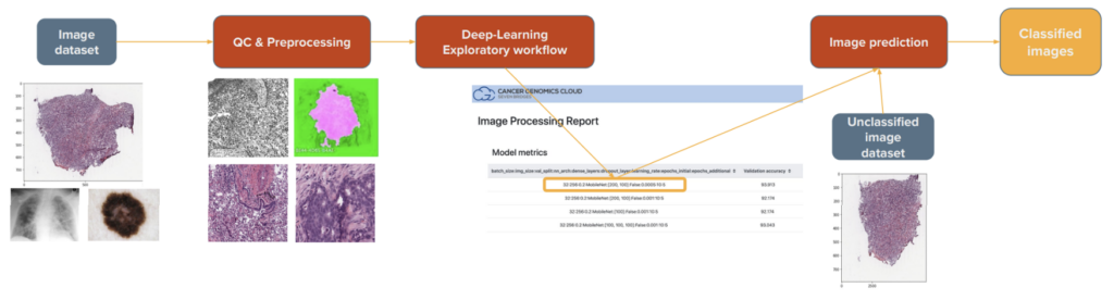 Machine Learning and Image Processing on the CGC: Tools For Success ...